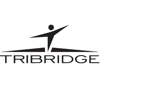 Tribridge |' Platform Development | Experiences For Mankind
